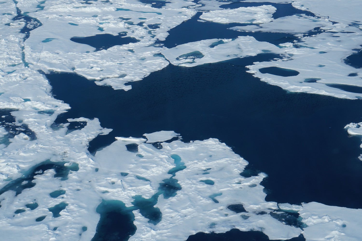 Past Evidence Supports Complete Loss of Arctic Sea-ice by 2035 | The ...