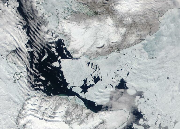 Blog | The Great White Con | Putting the Arctic sea ice record straight